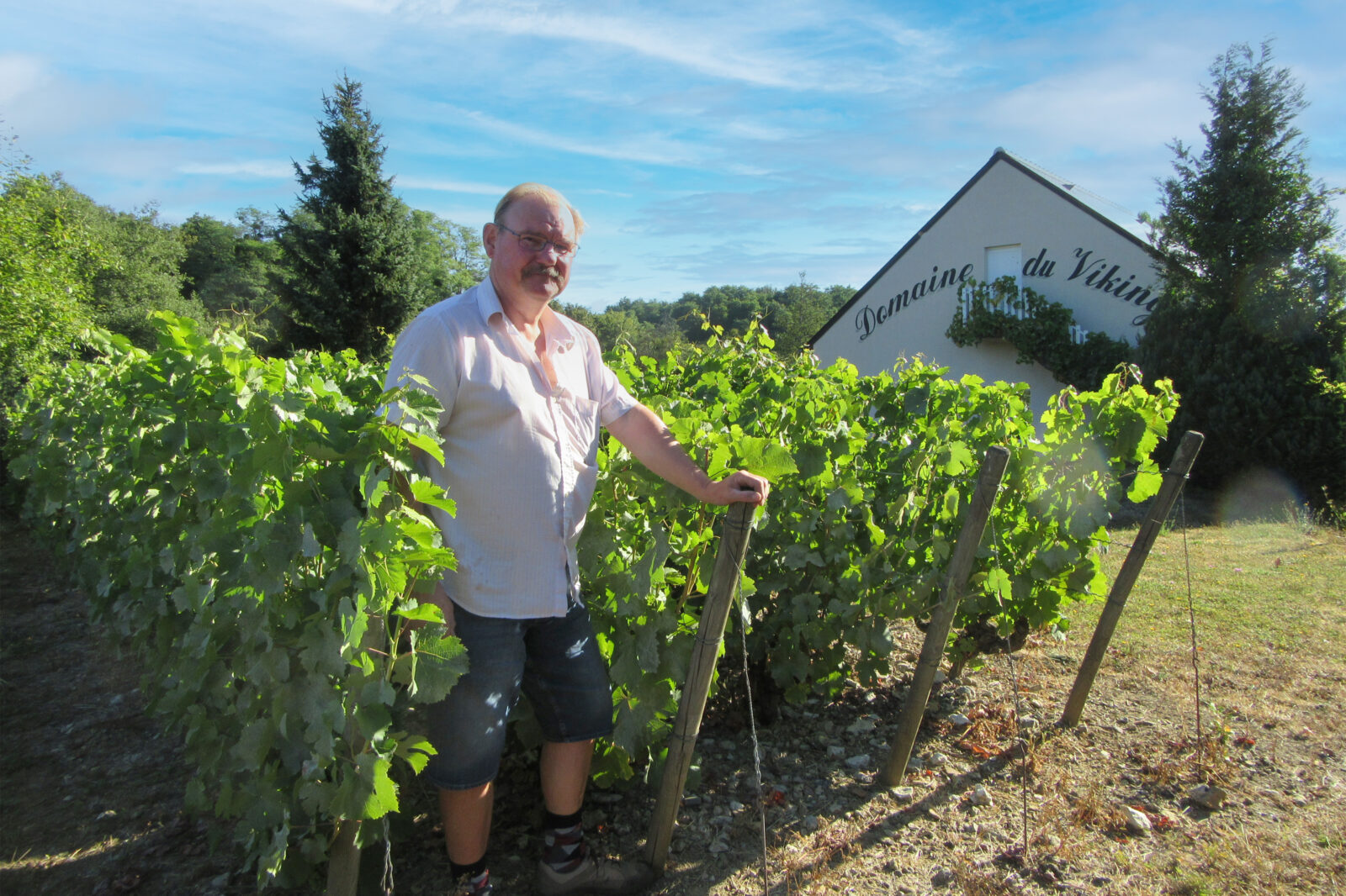 Domaine du Viking | European Cellars