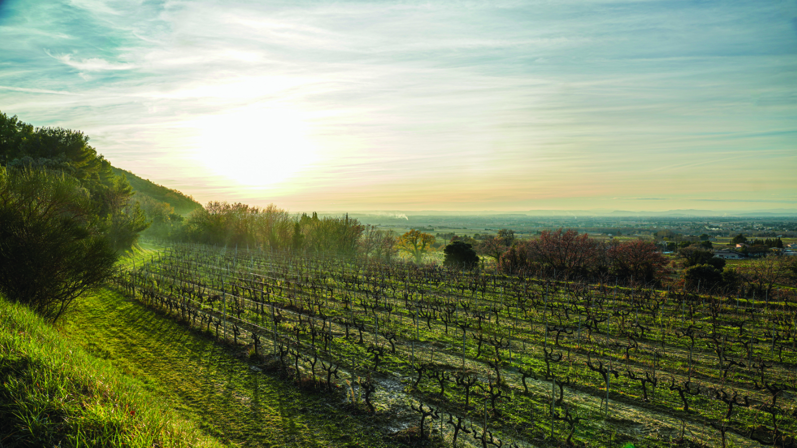 European Cellars | Place Over Process | Wine Importer Charlotte, NC