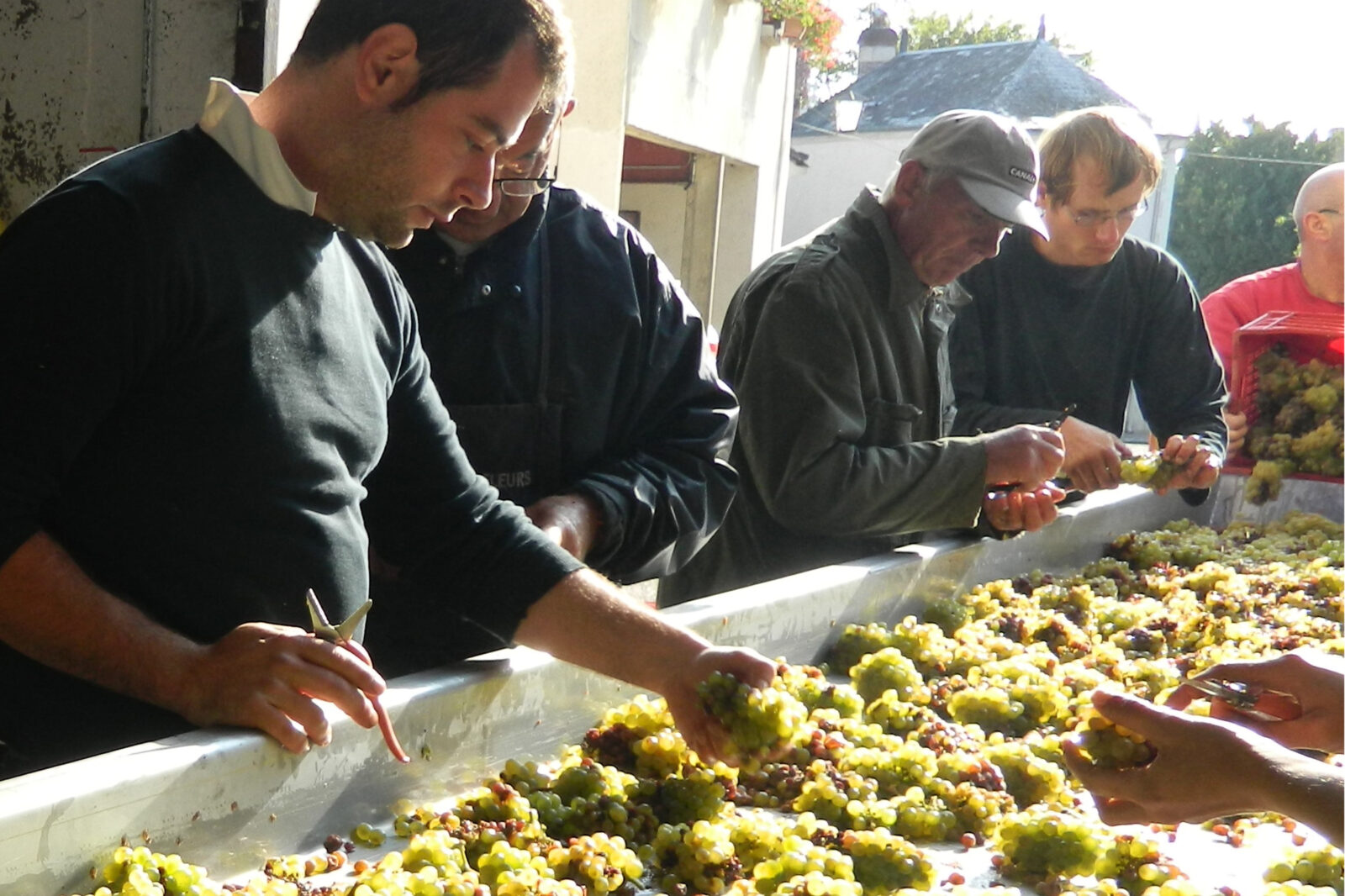 Bonnigal-Bodet | European Cellars